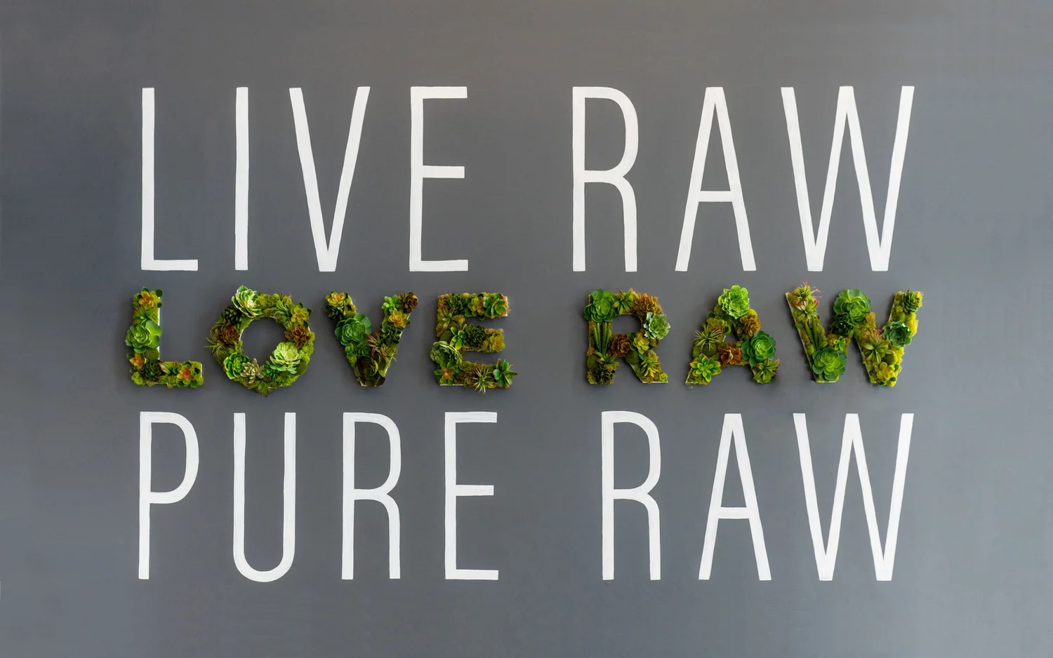 Pure Raw Juice Brand Identity — HiFi Brands