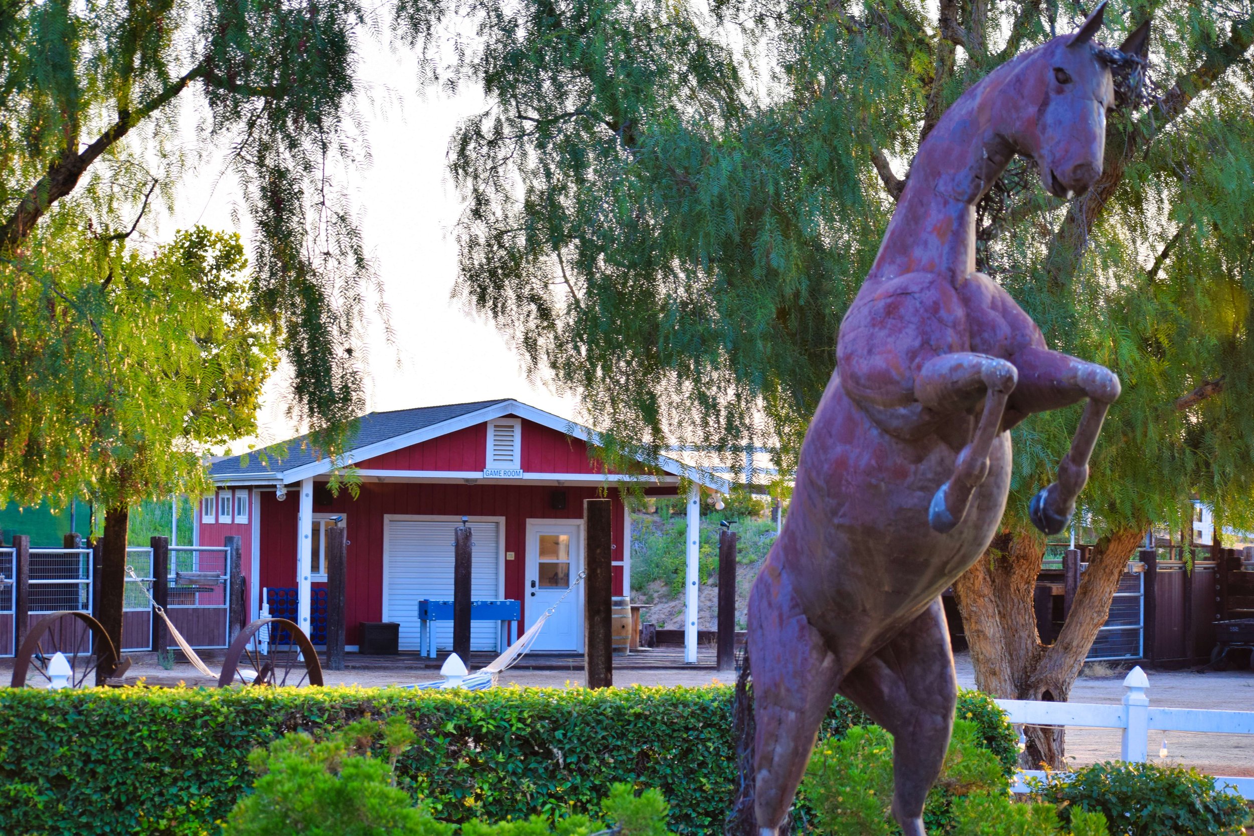 Peppertree Lane Ranch — Temecula Guest Ranch Resort