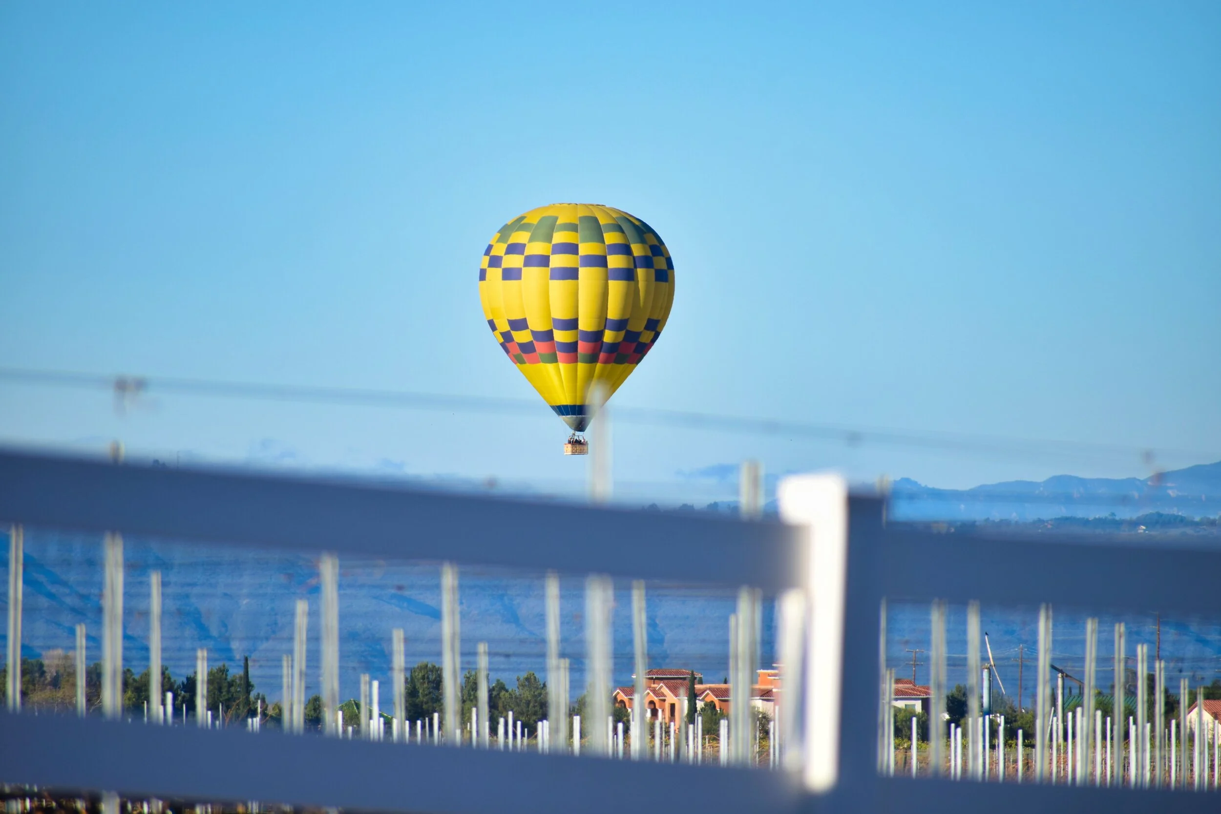 Peppertree Lane Ranch — Temecula Guest Ranch Resort