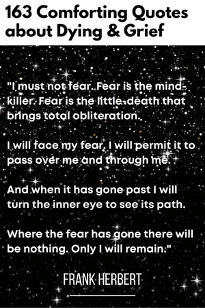 163 Beautiful Death Quotes & Grief Words of Condolence — Minimize My Mess