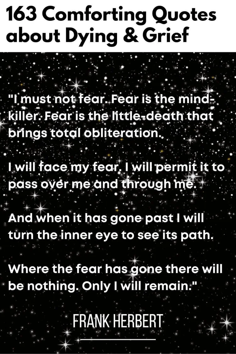 163 Beautiful Death Quotes & Grief Words of Condolence — Minimize My Mess