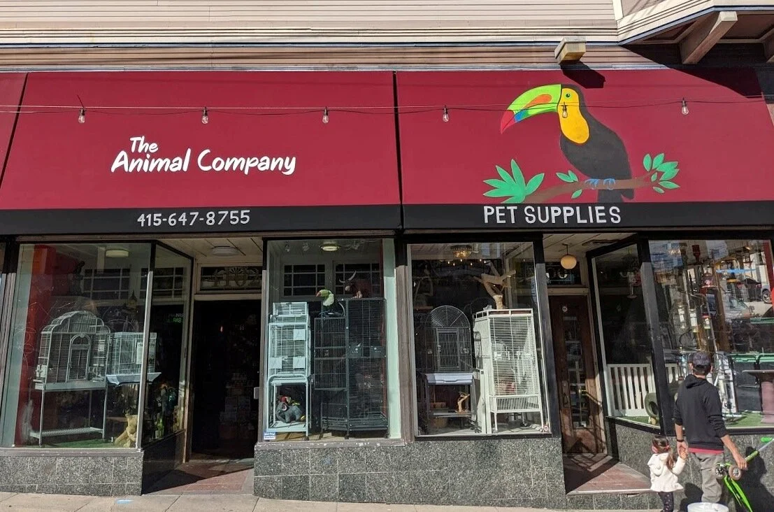 The Animal Company