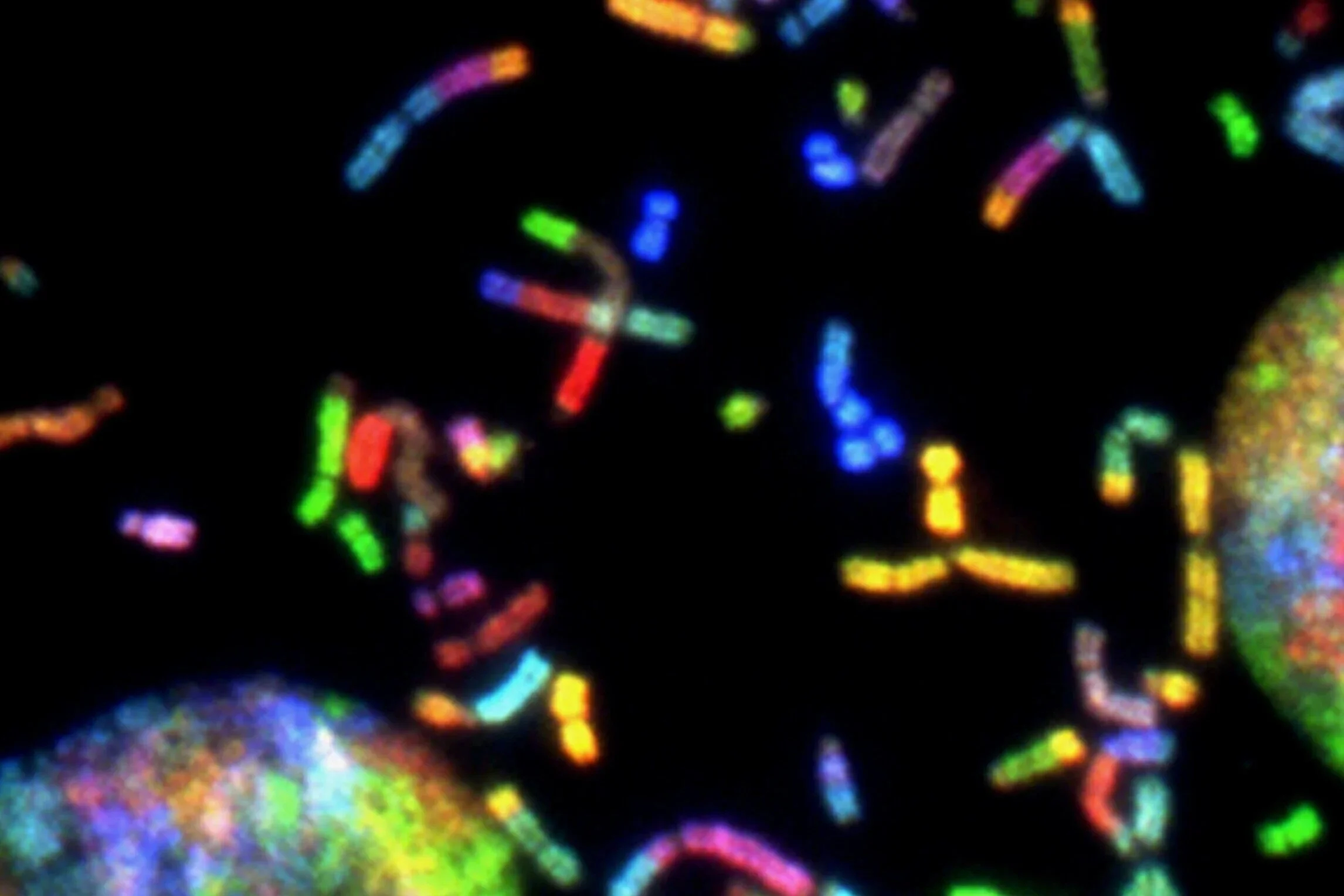 International Mammalian Genome Society