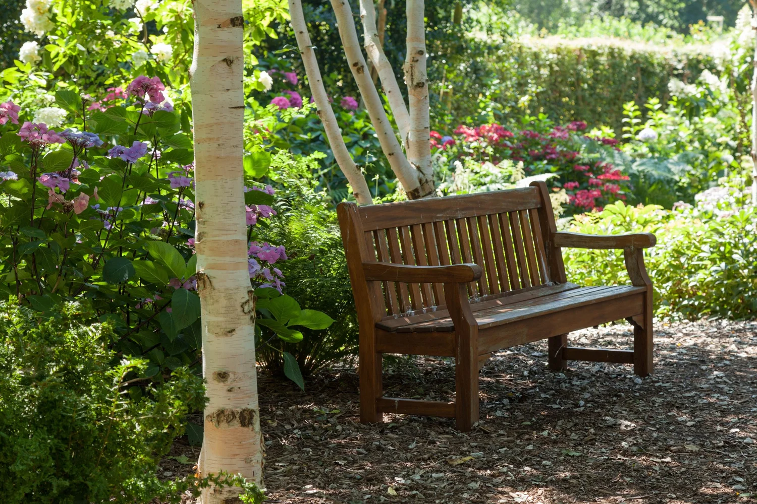 8 Awesome Summer Landscaping Ideas — Citywide Fences and Decks