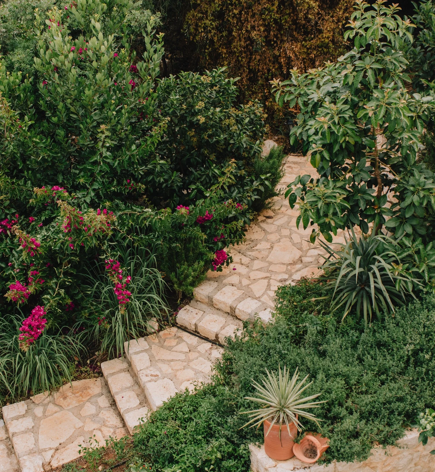 8 Awesome Summer Landscaping Ideas — Citywide Fences and Decks