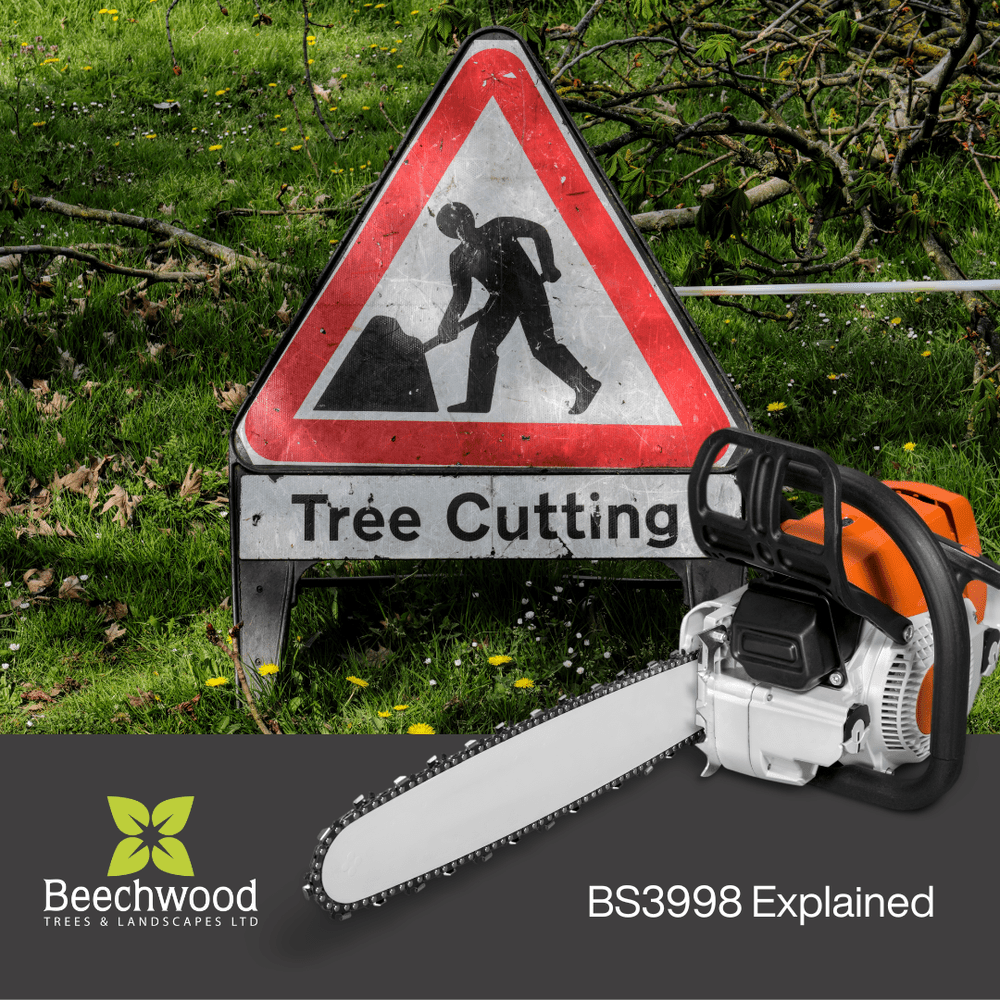 Understanding British Standards 3998:2010 - Your Guide to Quality Tree ...