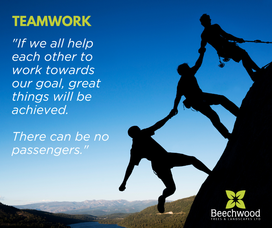Importance of Teamwork — Beechwood Trees & Landscapes
