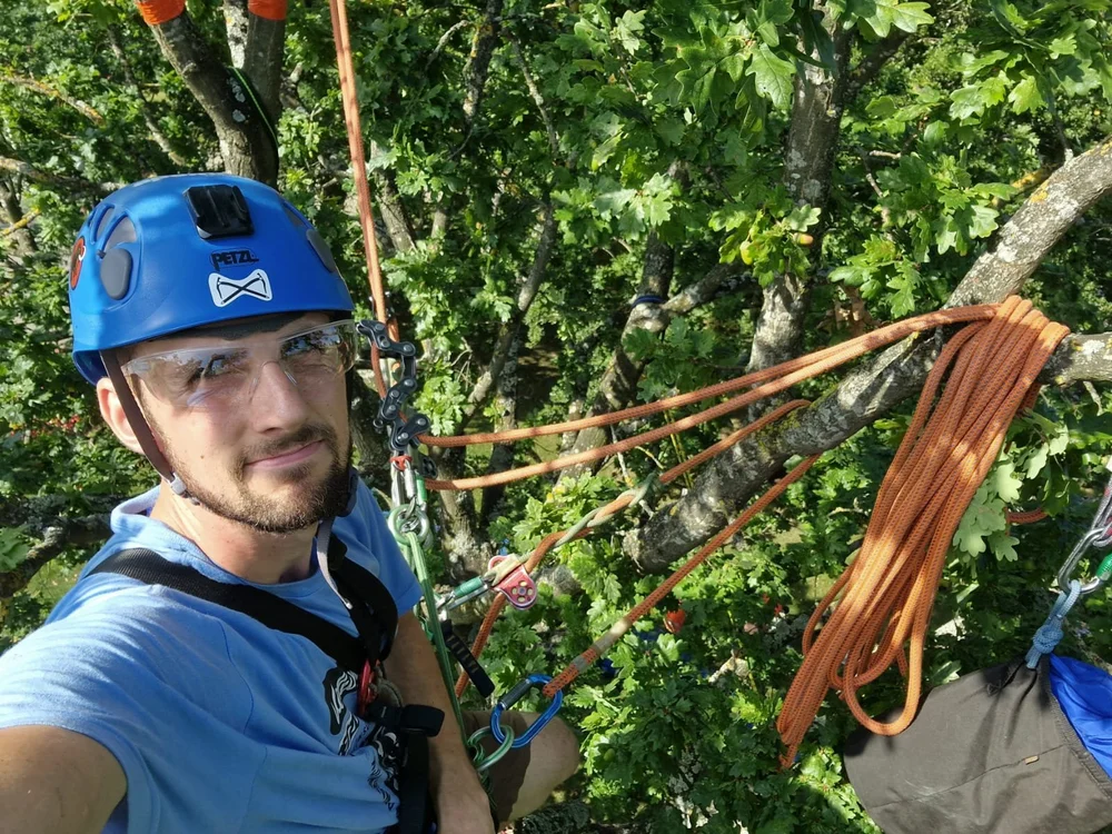 Commercial Tree Surgery — Beechwood Trees & Landscapes