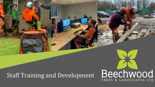 Tree Surgery Careers and Jobs - How to become a Tree Surgeon ...