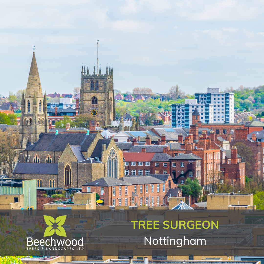 Tree Surgeon In Nottingham — Beechwood Trees & Landscapes