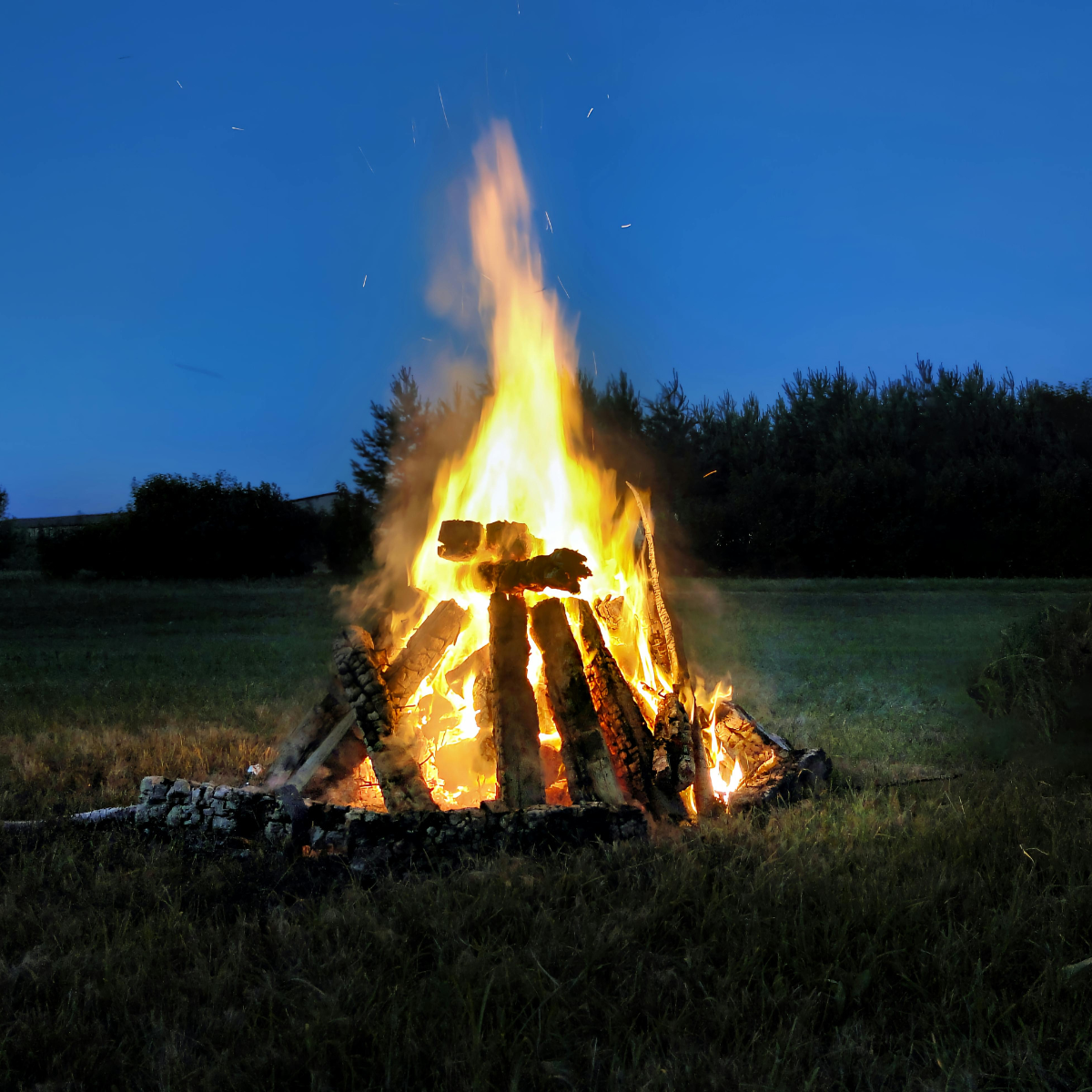 Bonfire Night Clean-Up — Beechwood Trees & Landscapes