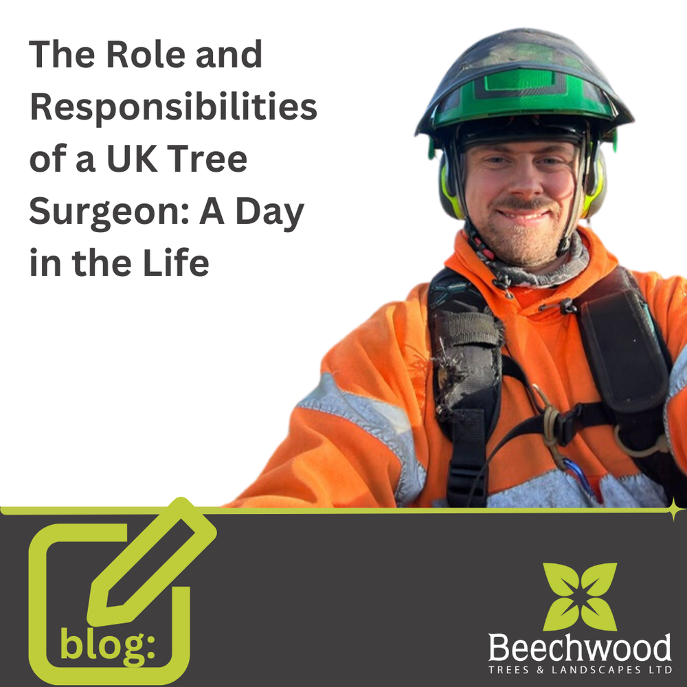 The Role and Responsibilities of a UK Tree Surgeon: A Day in the Life ...