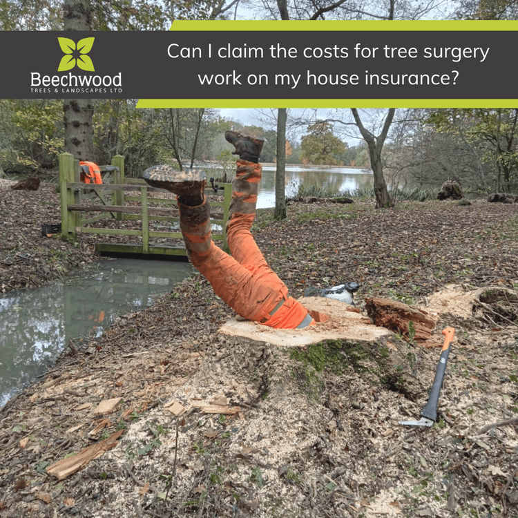 Can I claim the costs for tree surgery work on my house insurance ...