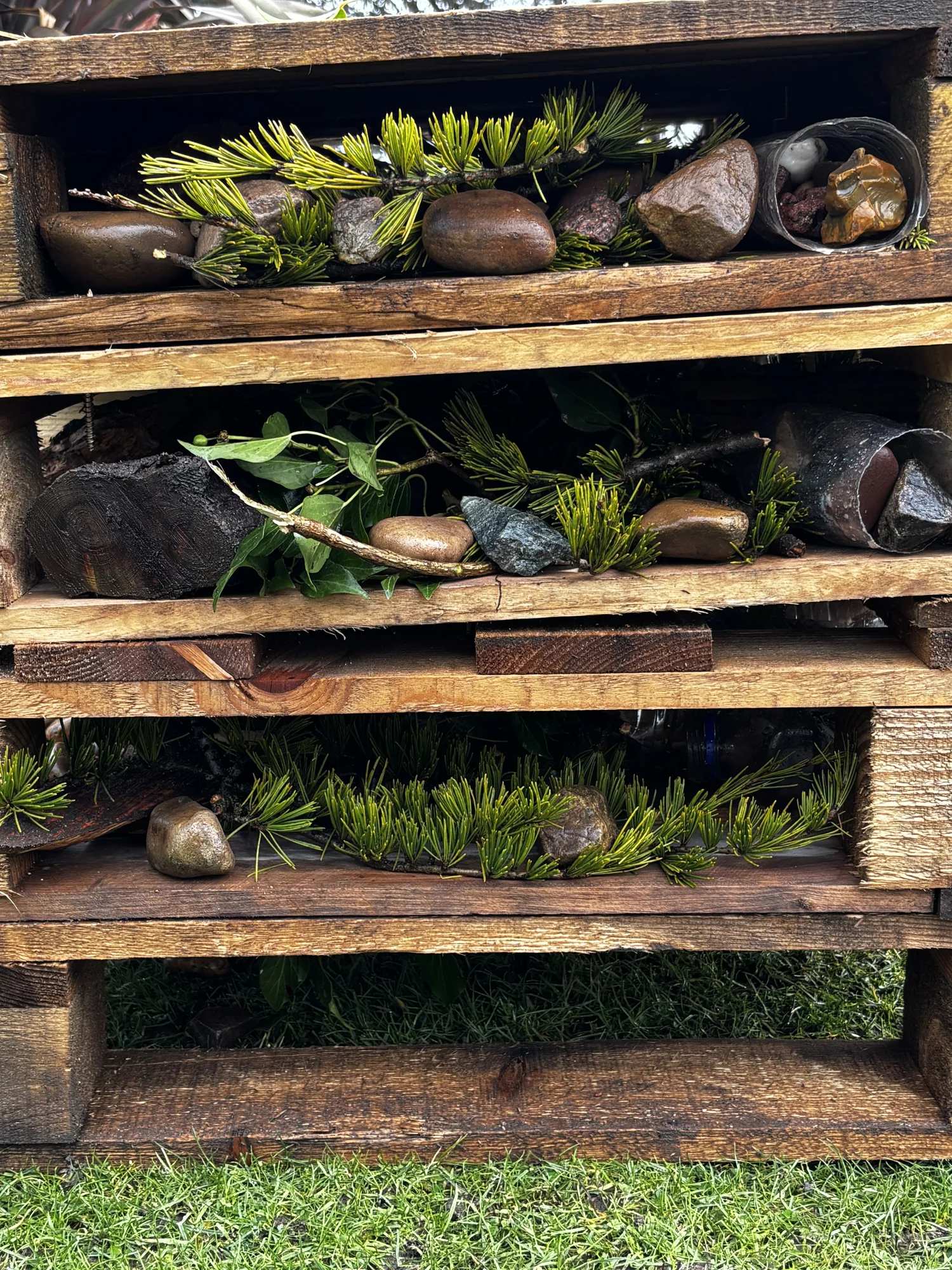 Bug Hotel & How to Build One in Your Garden — Beechwood Trees & Landscapes