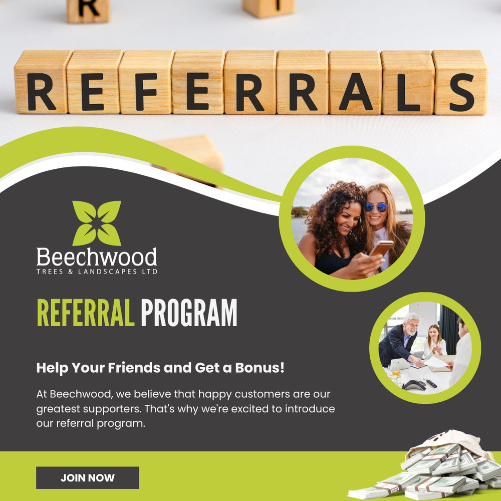 Unlock Rewards with our Referral Program! — Beechwood Trees & Landscapes