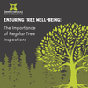 Ensuring Tree Well-being: The Importance of Regular Tree Inspections ...