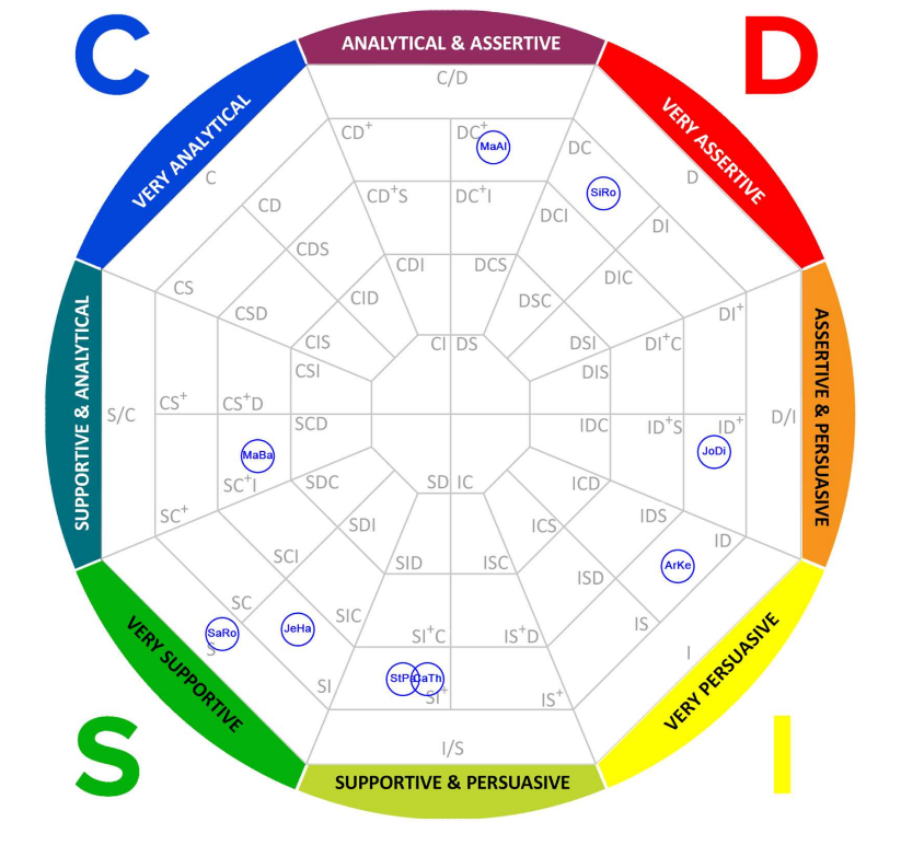 Building a Disc Profile Power Team for Optimal Collaboration and ...