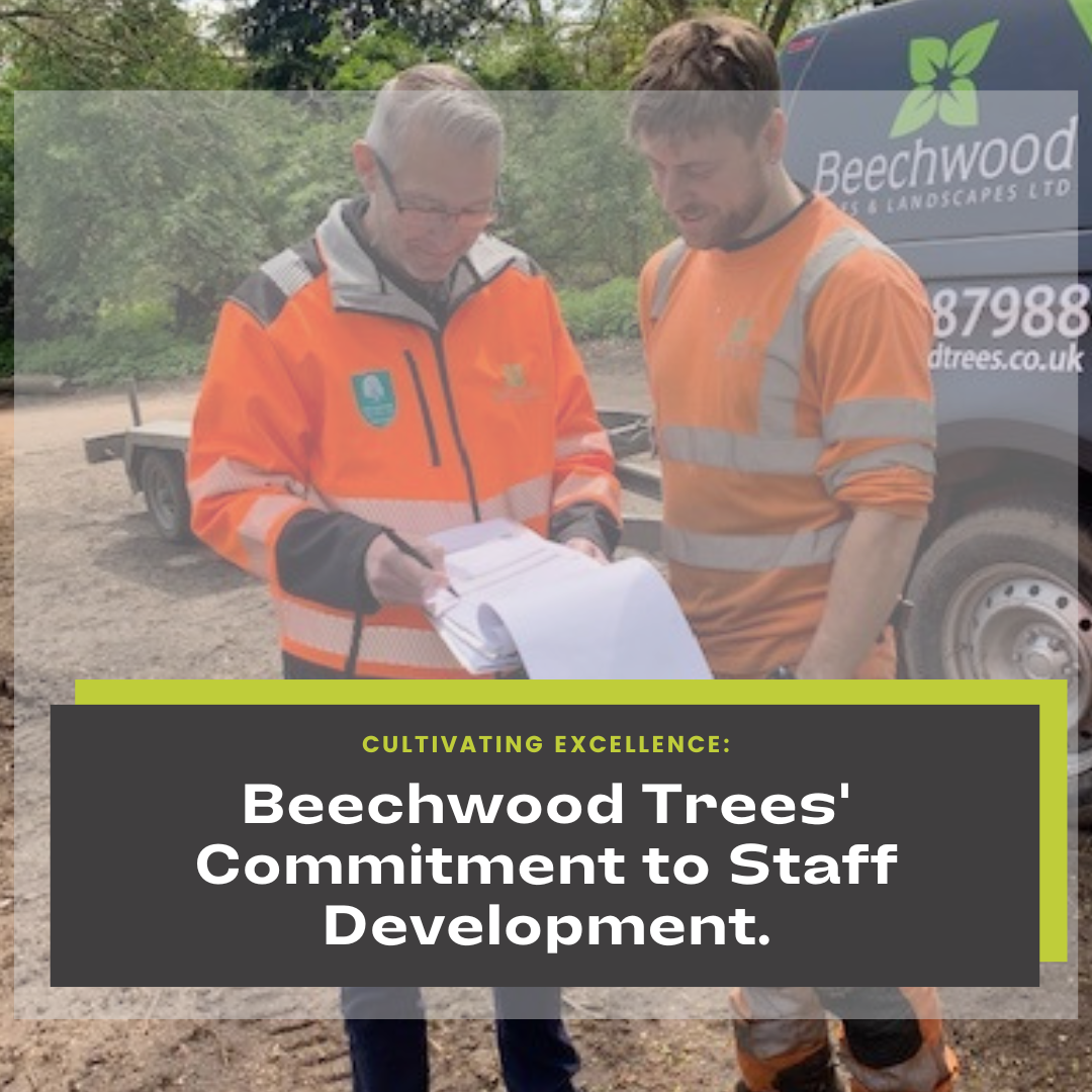 Cultivating Excellence: Beechwood Trees' Commitment to Staff ...