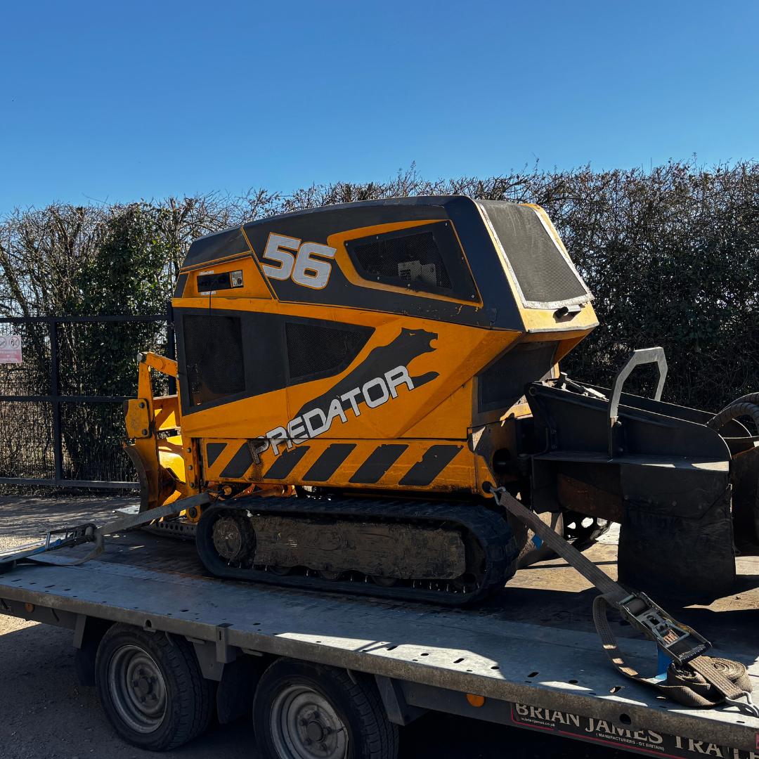 How to Kill and Remove a Tree Stump in the UK — Beechwood Trees ...