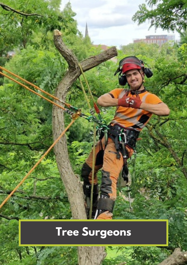 Ground Maintenance Services — Beechwood Trees & Landscapes