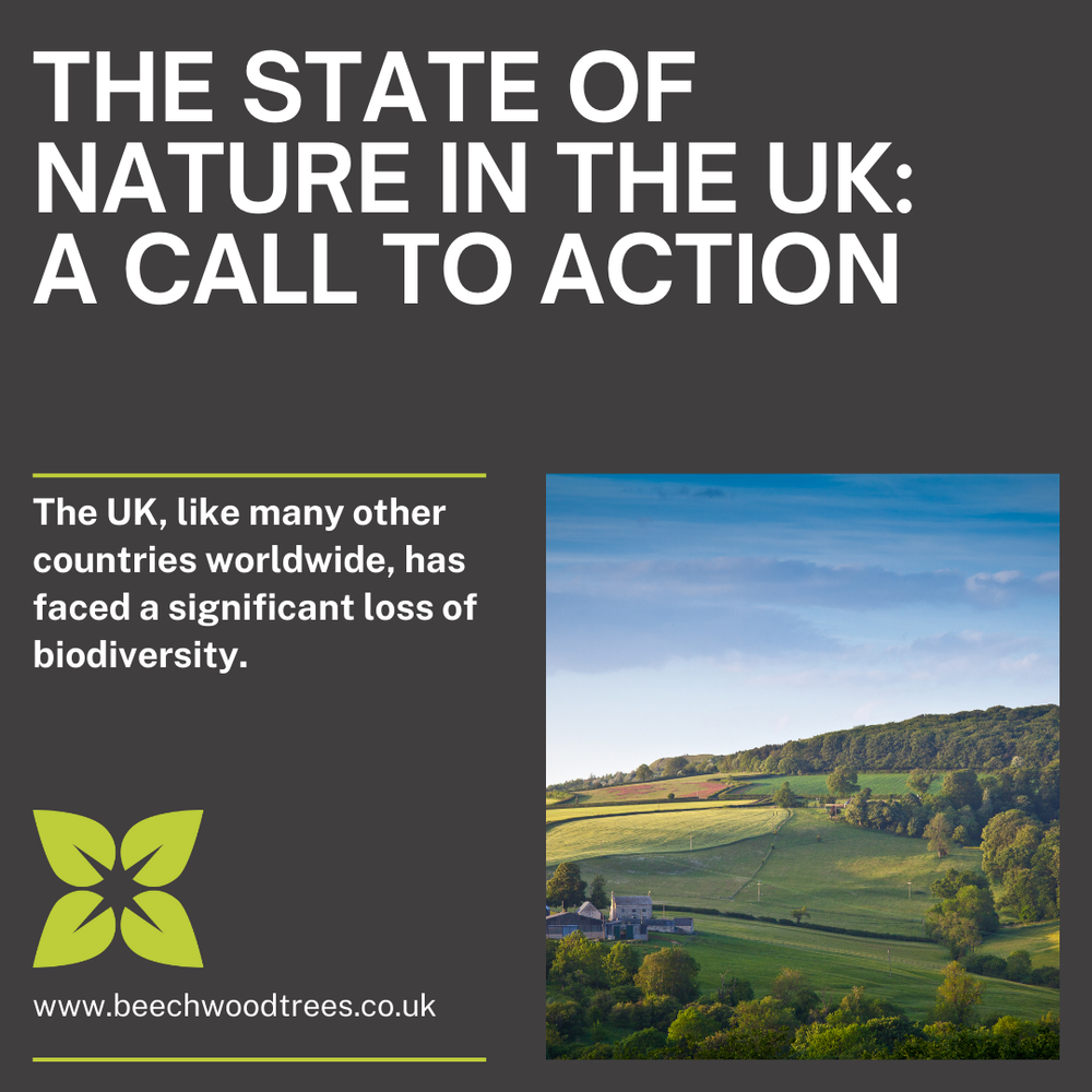 The State of Nature in the UK: A Call to Action — Beechwood Trees ...