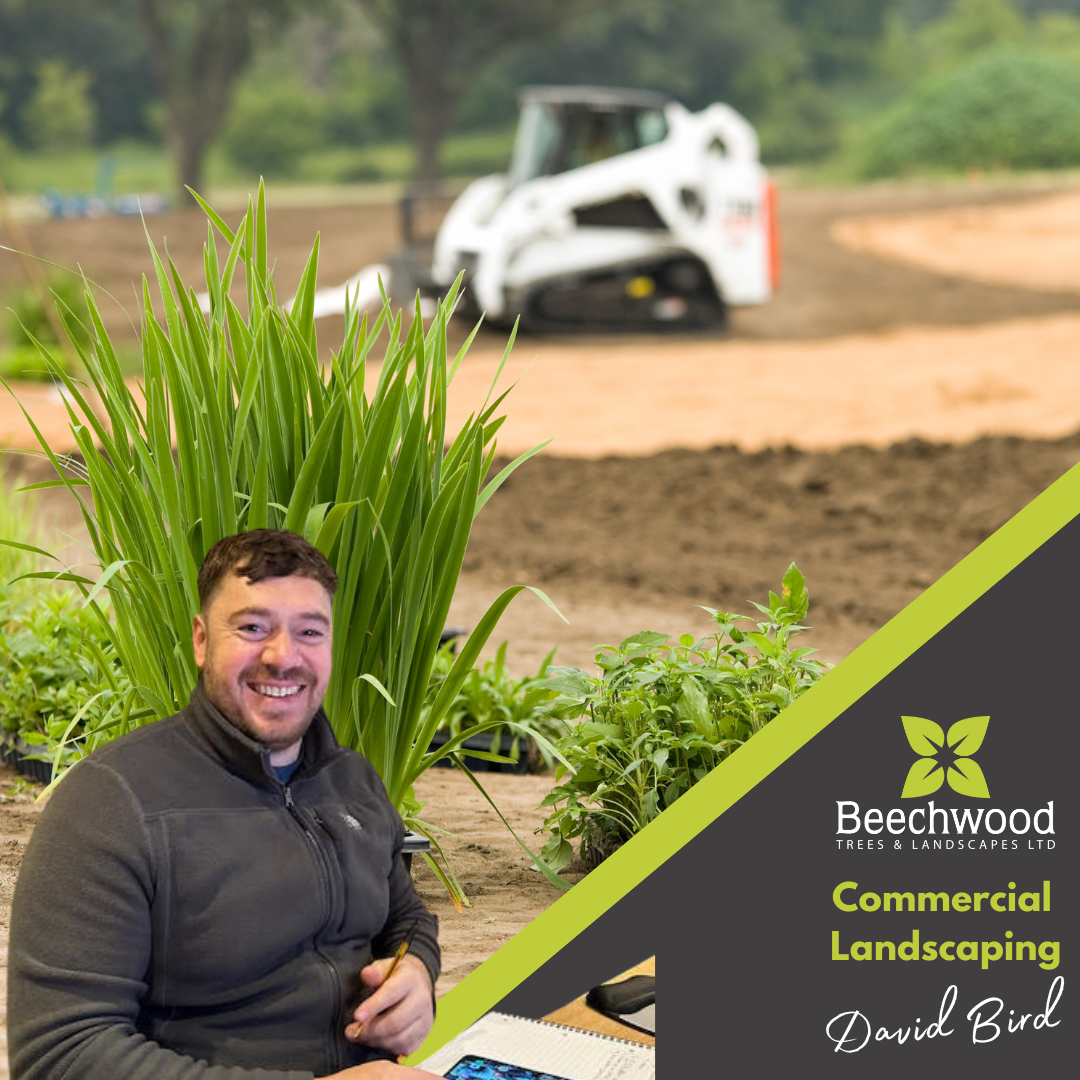Welcoming David Bird: A New Chapter in Commercial Landscaping ...