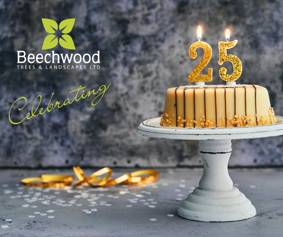 25 Years of Excellence: Our Amazing Journey — Beechwood Trees & Landscapes