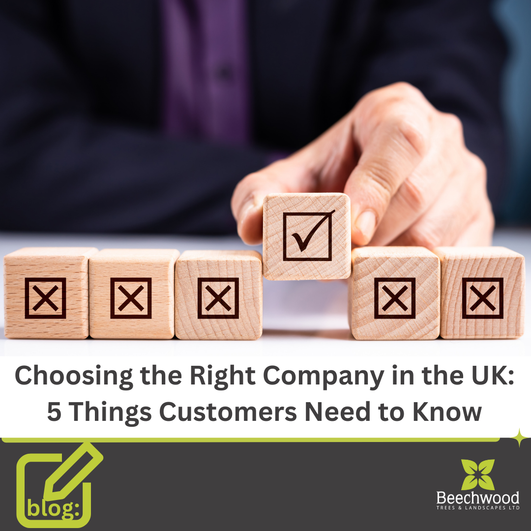 Choosing the Right Company in the UK: 5 Things Customers Need to Know ...
