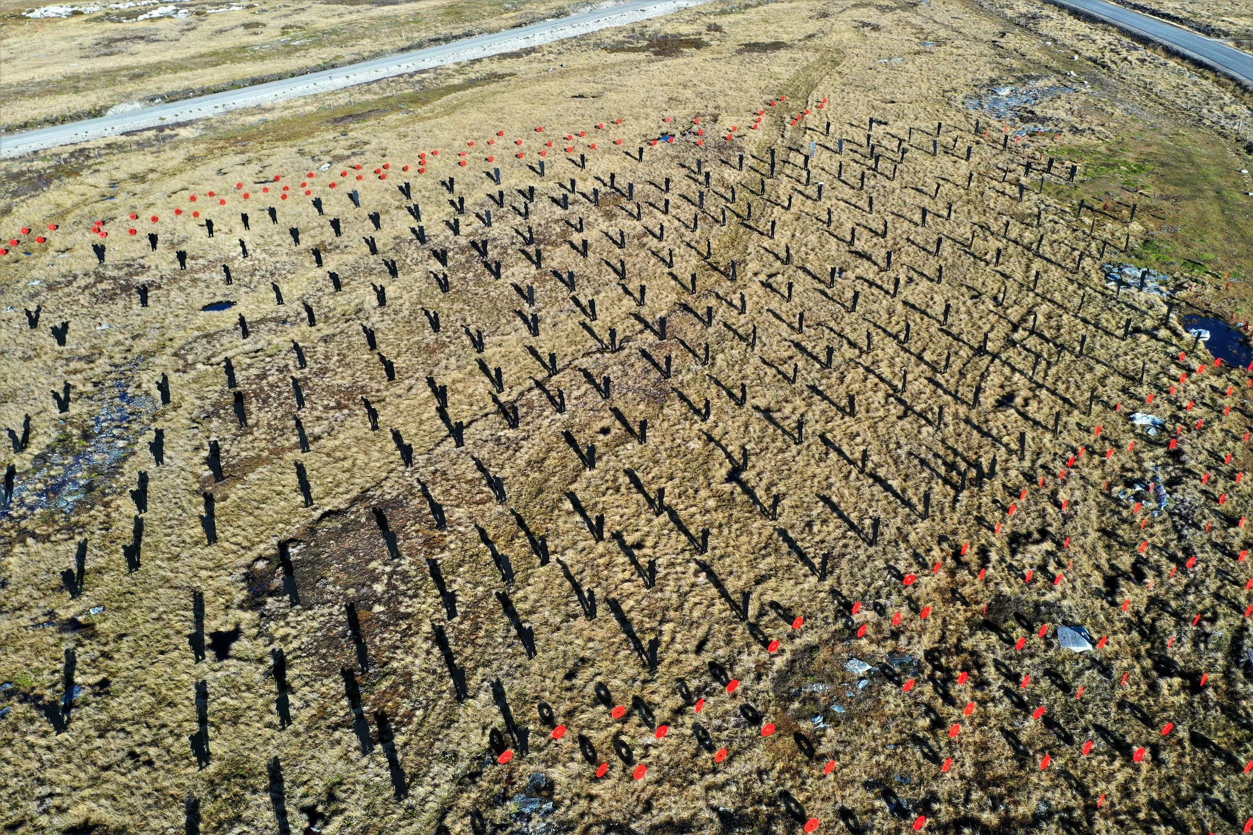 Standing With Giants