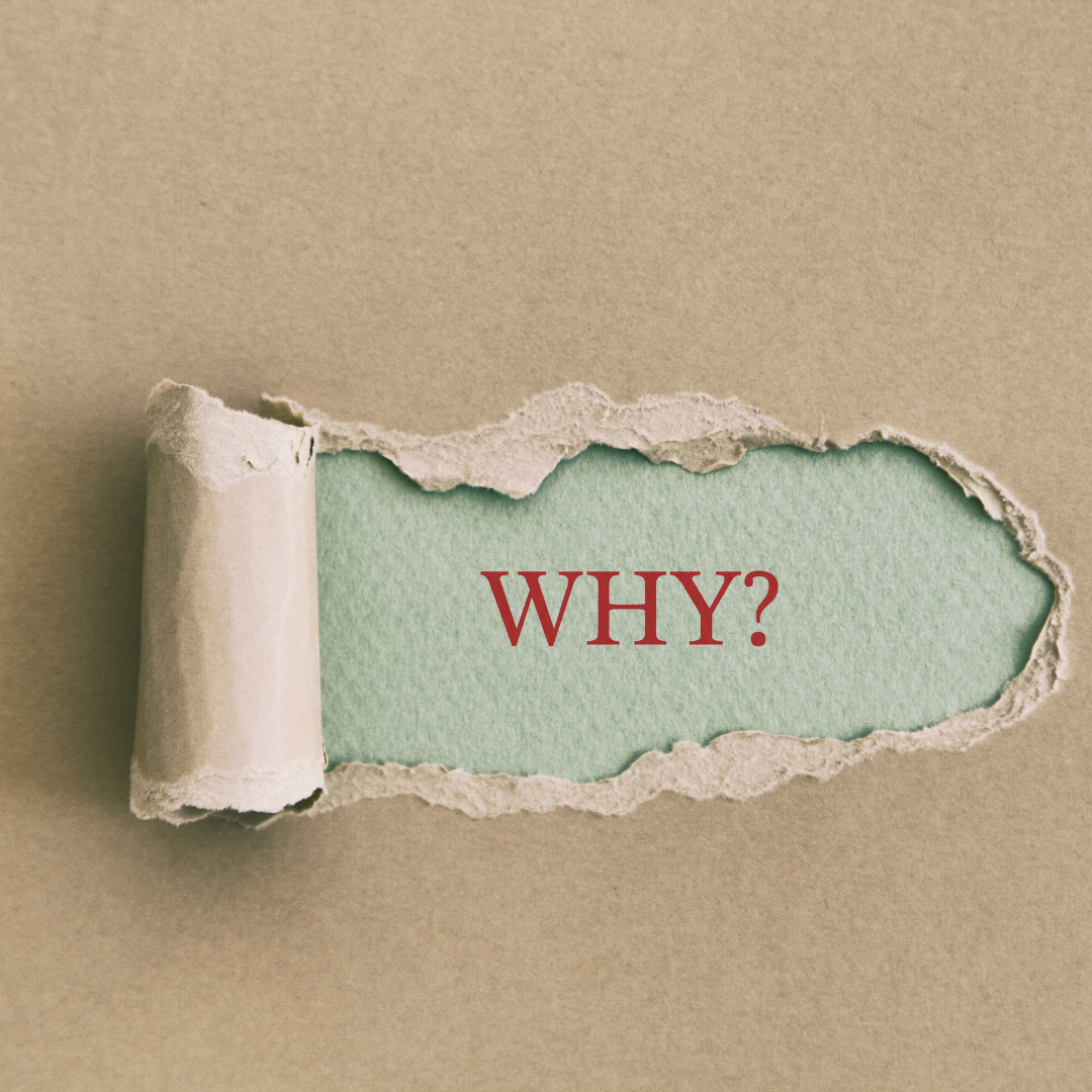 Why Do I Do the Things That I Do?