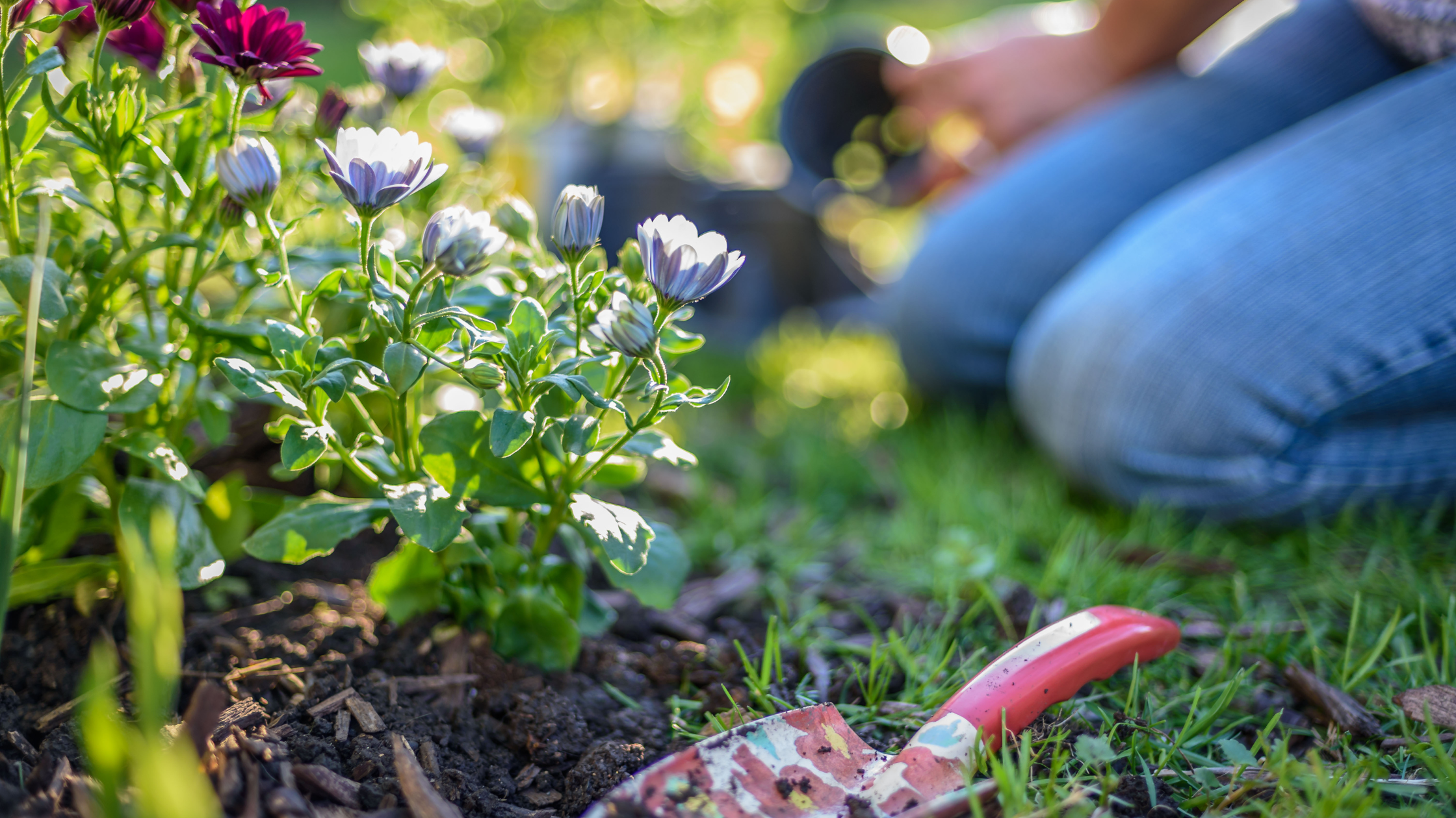 The Ultimate Spring Cleaning Checklist - Part 2: Outside Your Home ...