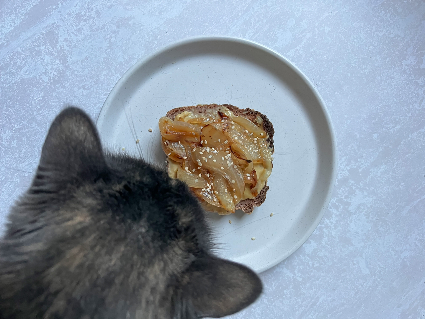 Bella Bread | Best Gluten-Free Sourdough Bread | Vegan Artisan Bakery