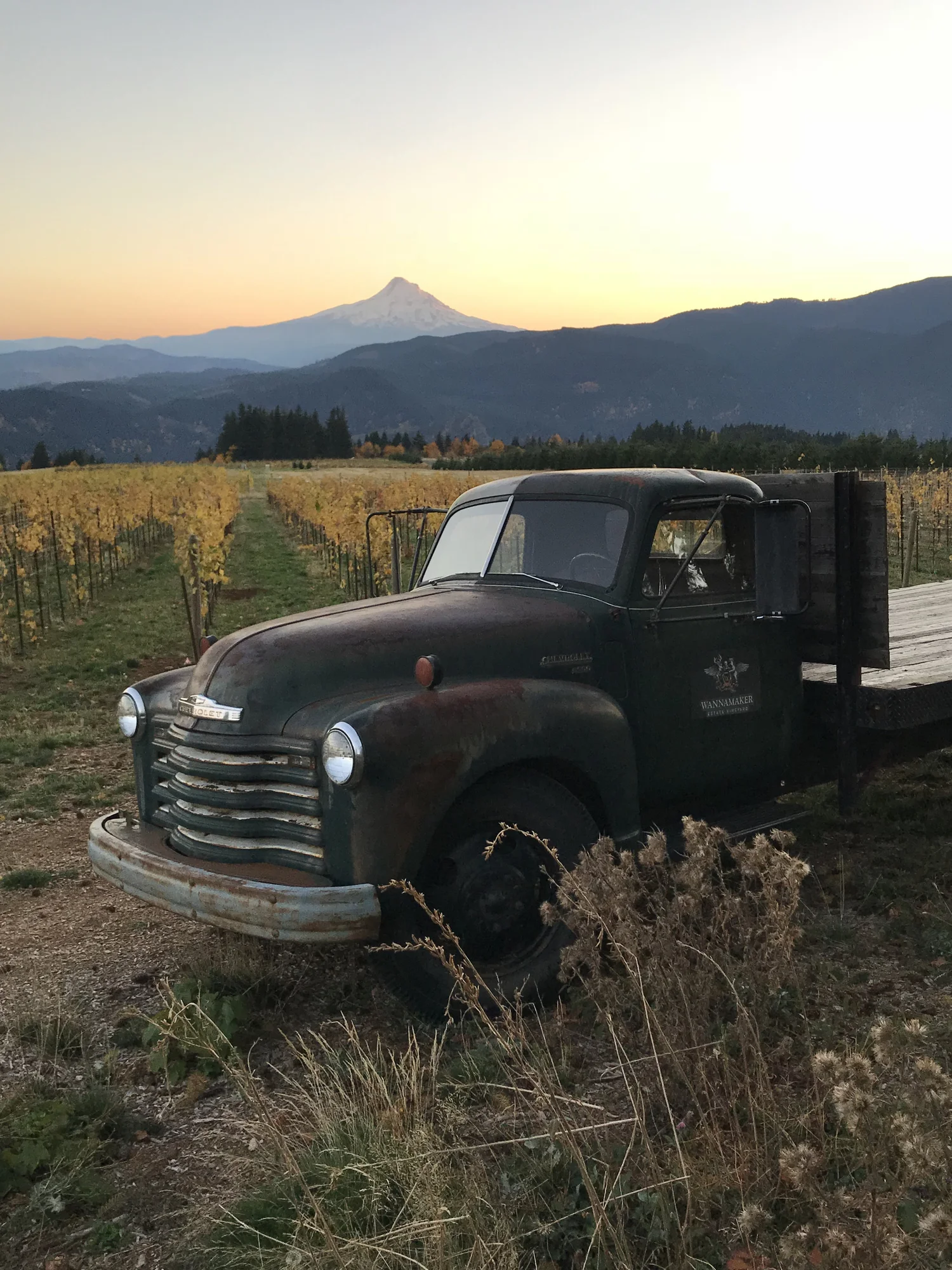 Contact — Wannamaker Estate Vineyard