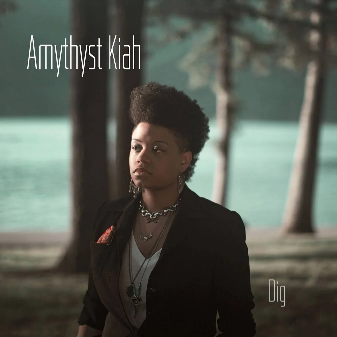 Music — Amythyst Kiah