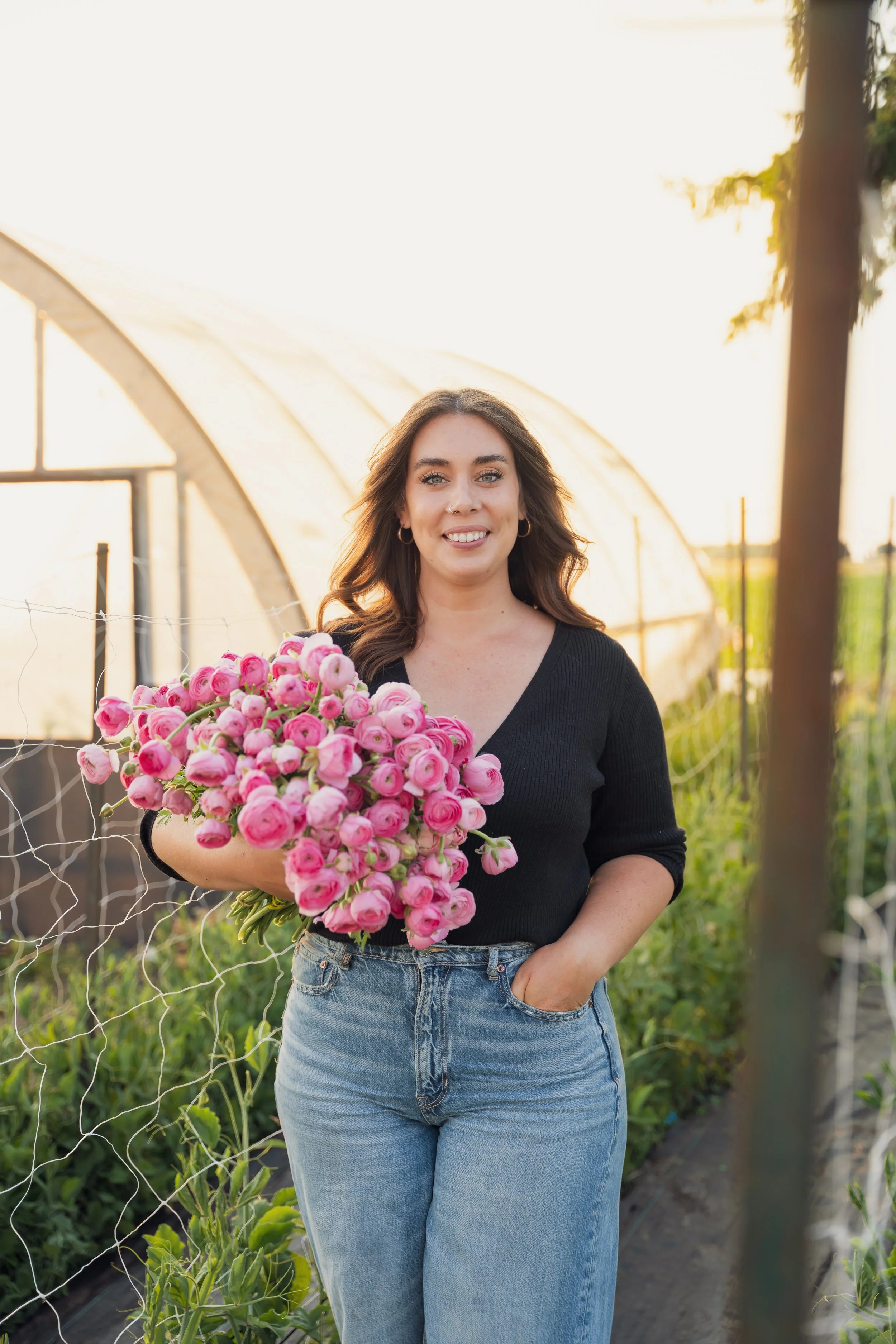 The Saol Project — The Saol Project