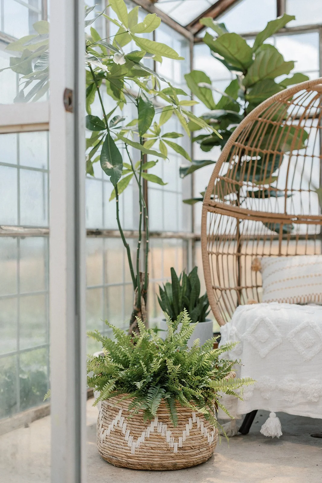 Gallery 3 — The Saol Project