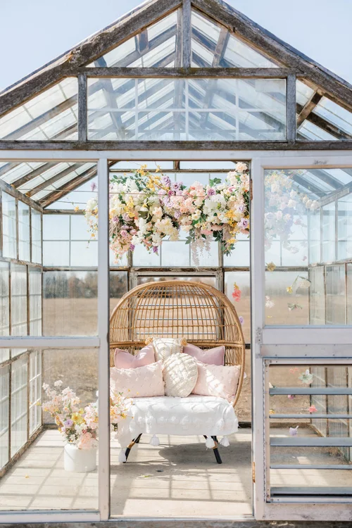 Gallery 3 — The Saol Project