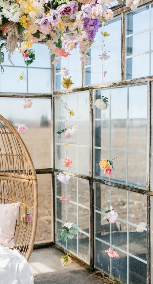 Gallery 3 — The Saol Project