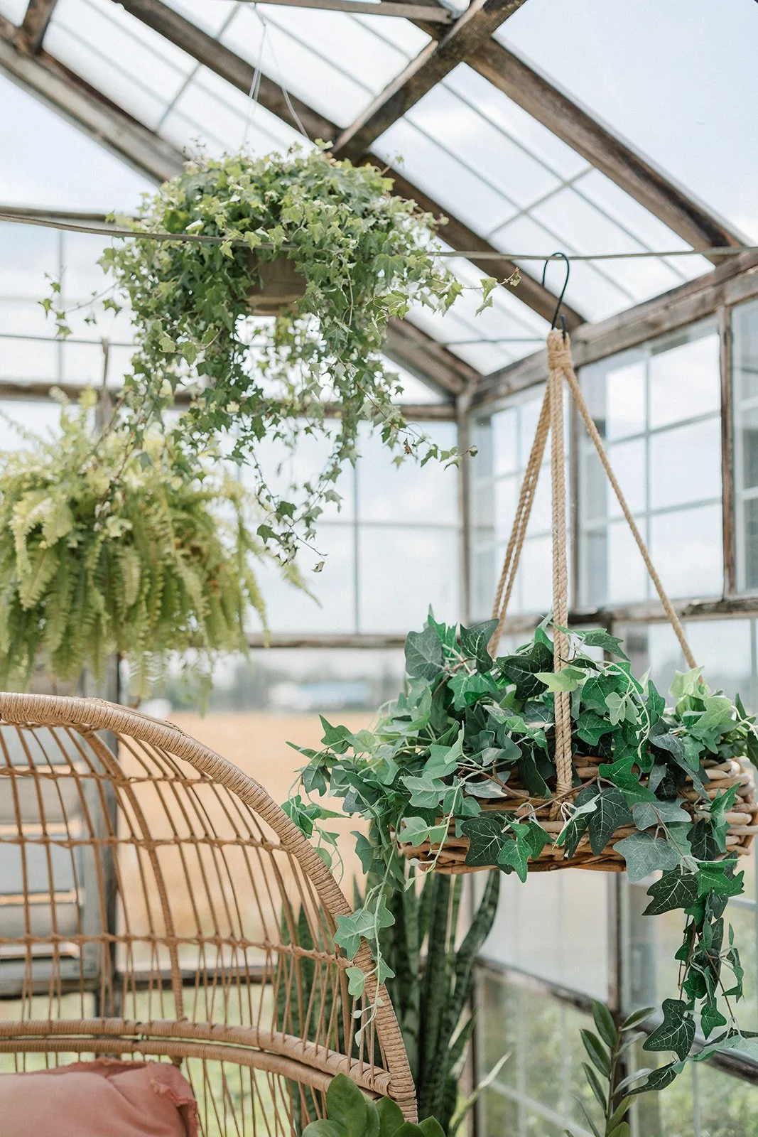 Gallery 3 — The Saol Project