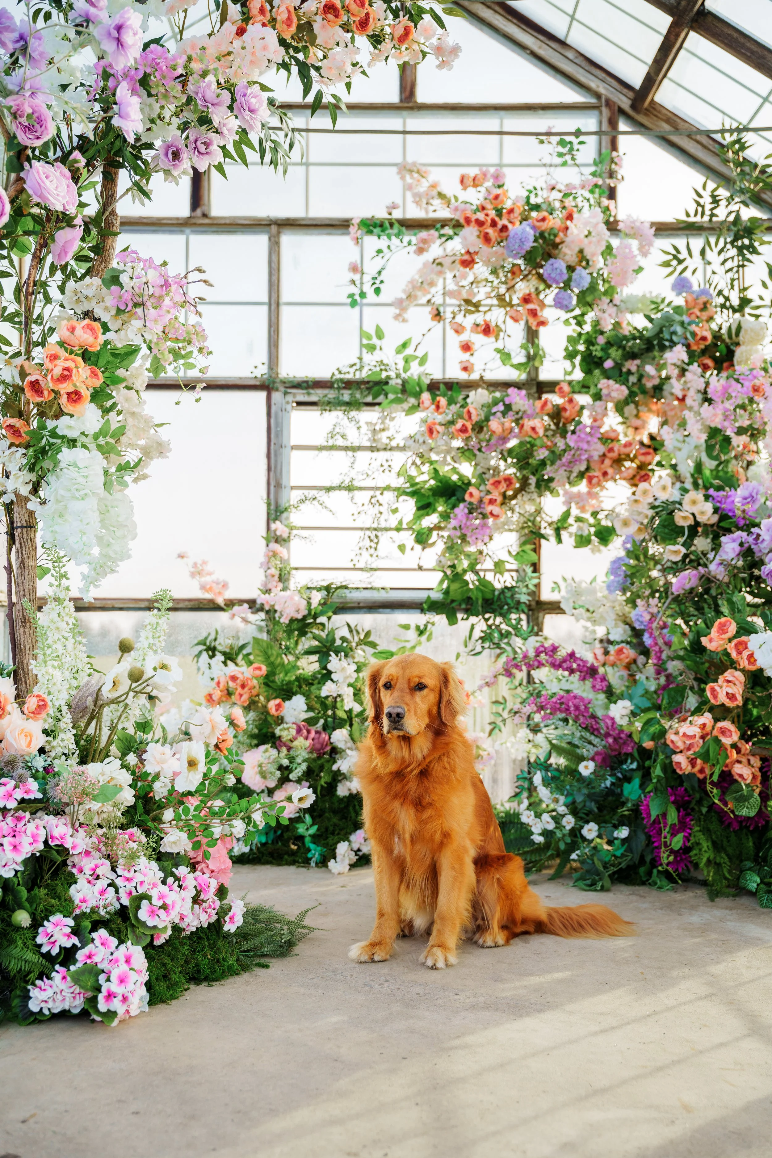 Gallery 3 — The Saol Project