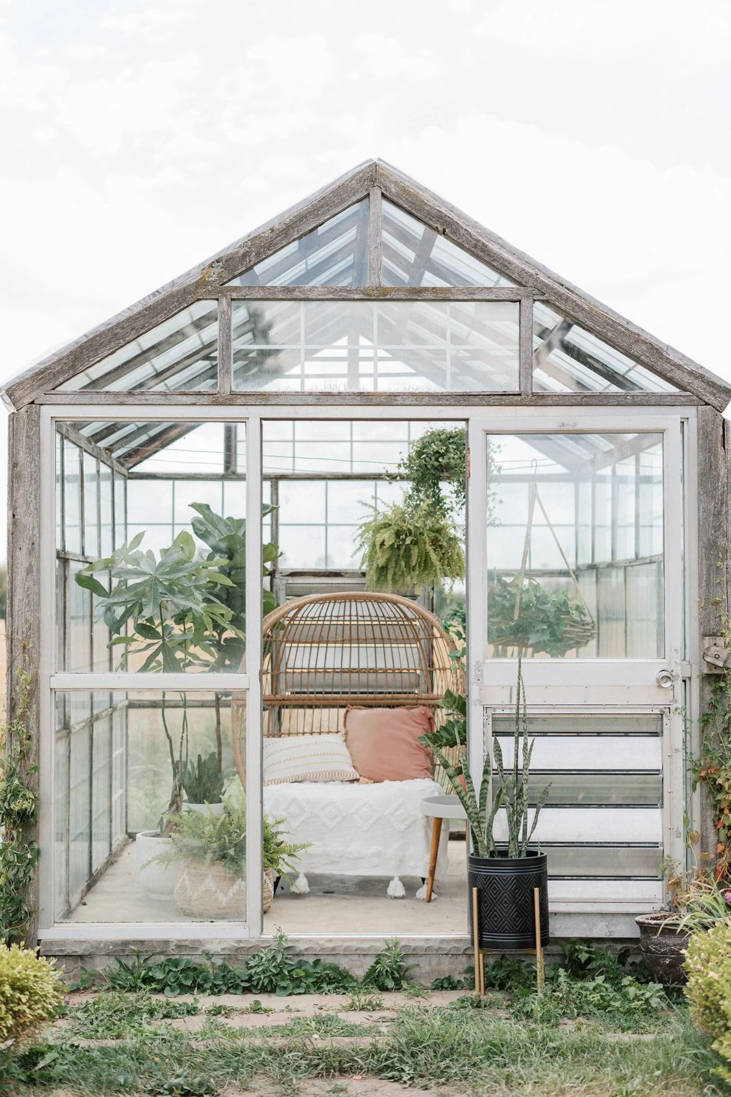 Gallery 3 — The Saol Project