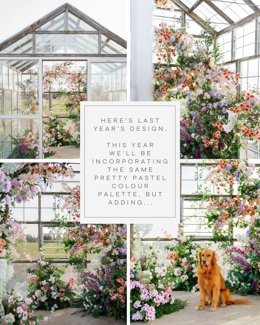 Greenhouse Rentals — The Saol Project