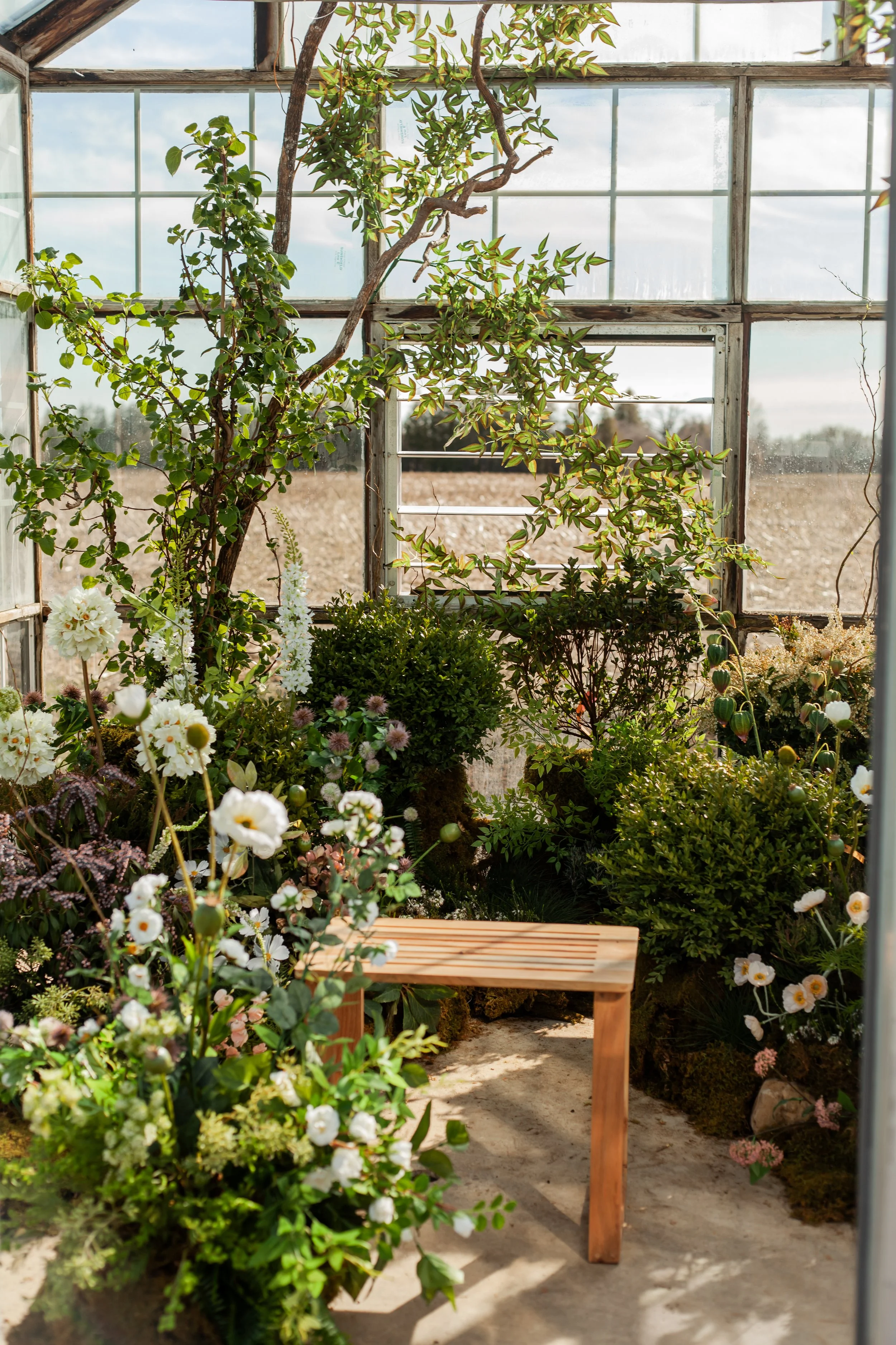 Gallery 3 — The Saol Project