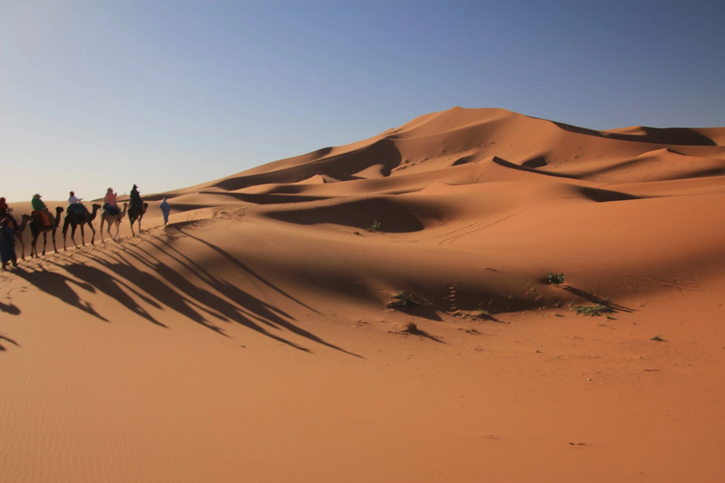 Medicine & the Arts: Art Show 2023