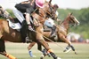Toronto Polo Club