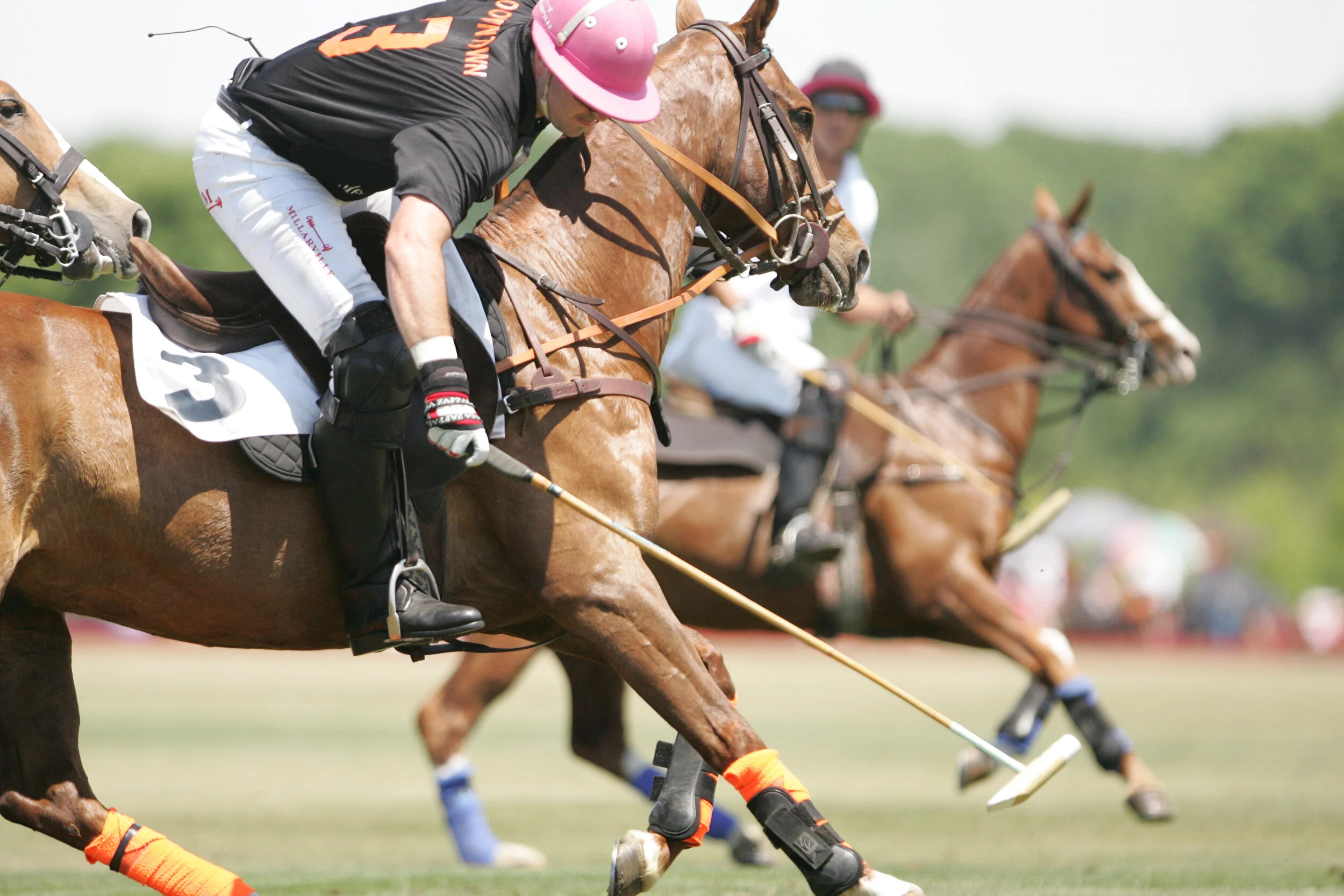Toronto Polo Club
