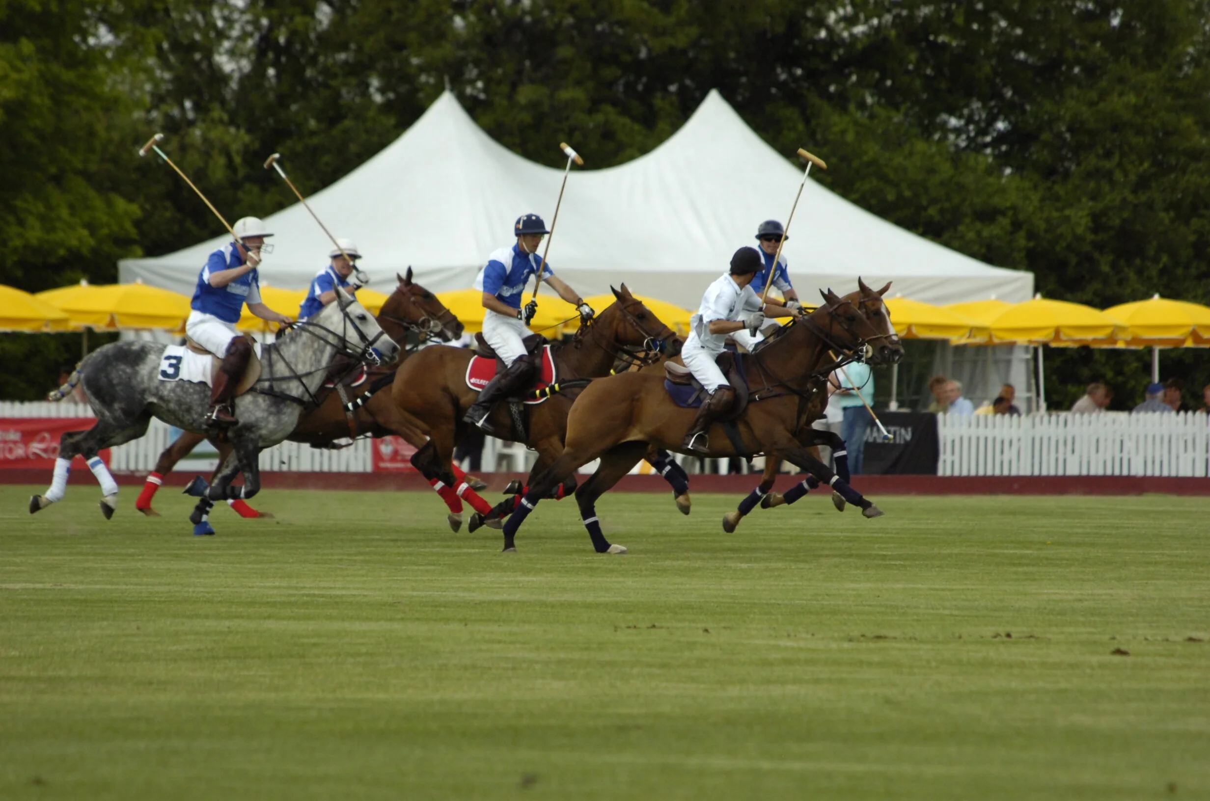 General 1 — Toronto Polo Club