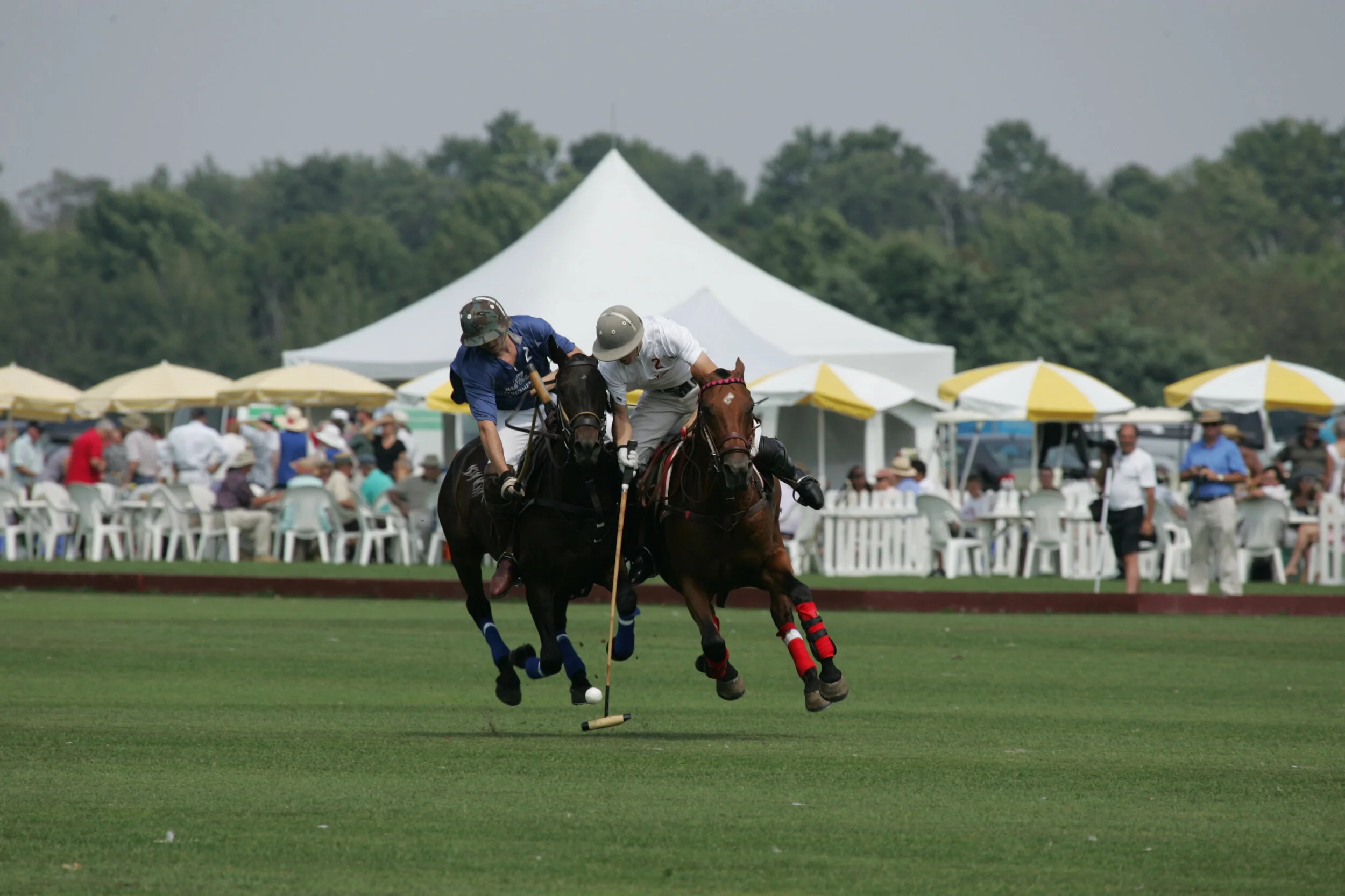 General 1 — Toronto Polo Club
