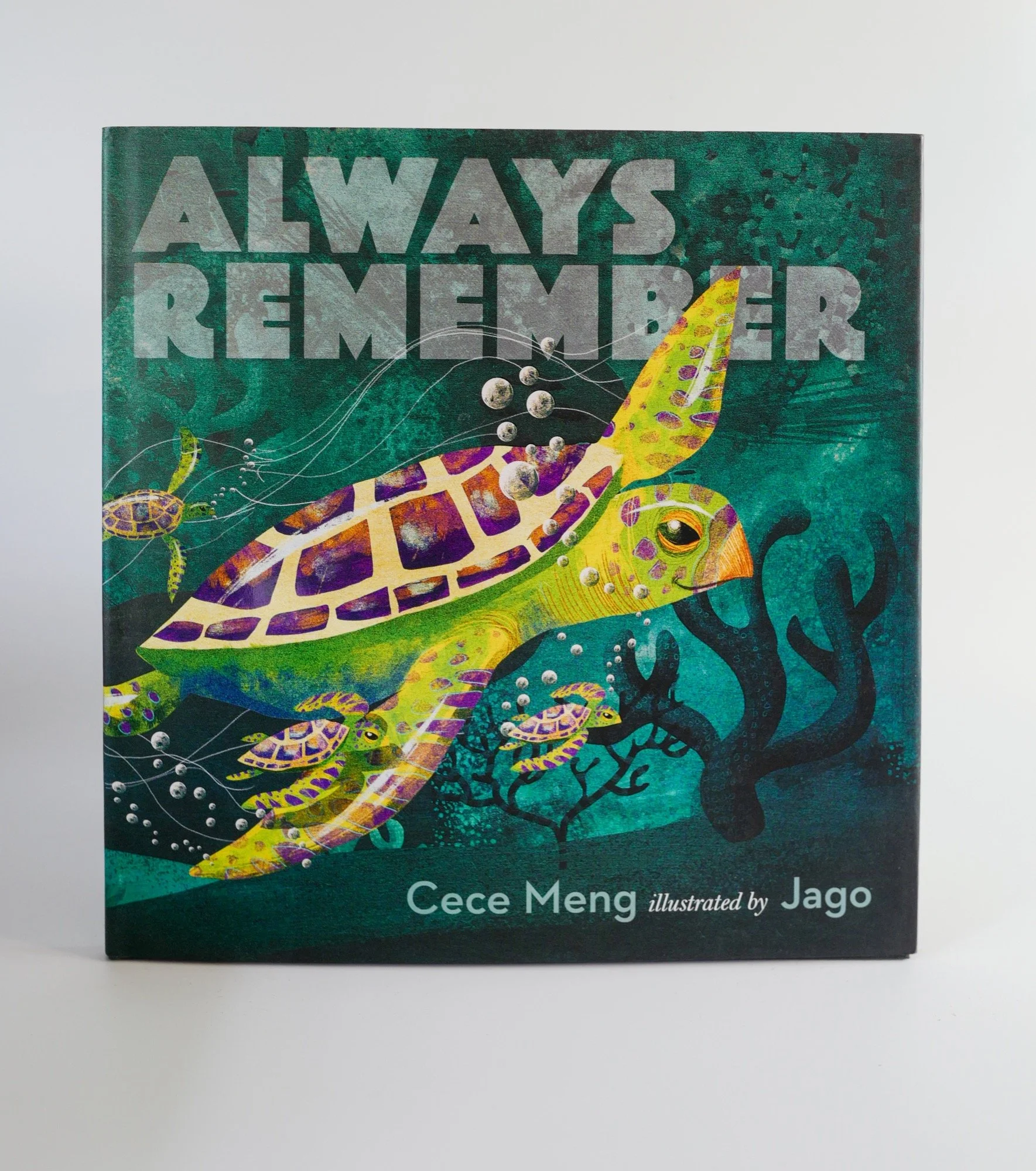 Always Remember — JAGO ILLUSTRATION