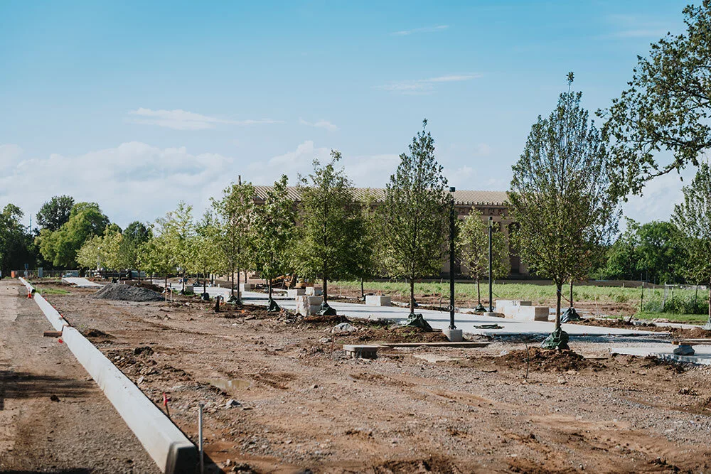 About Centennial Park | Centennial Park Conservancy